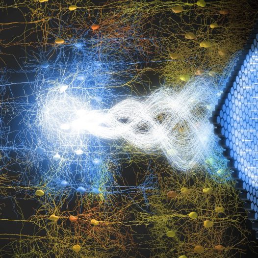 Ge Zhang | Physics for Medicine Paris